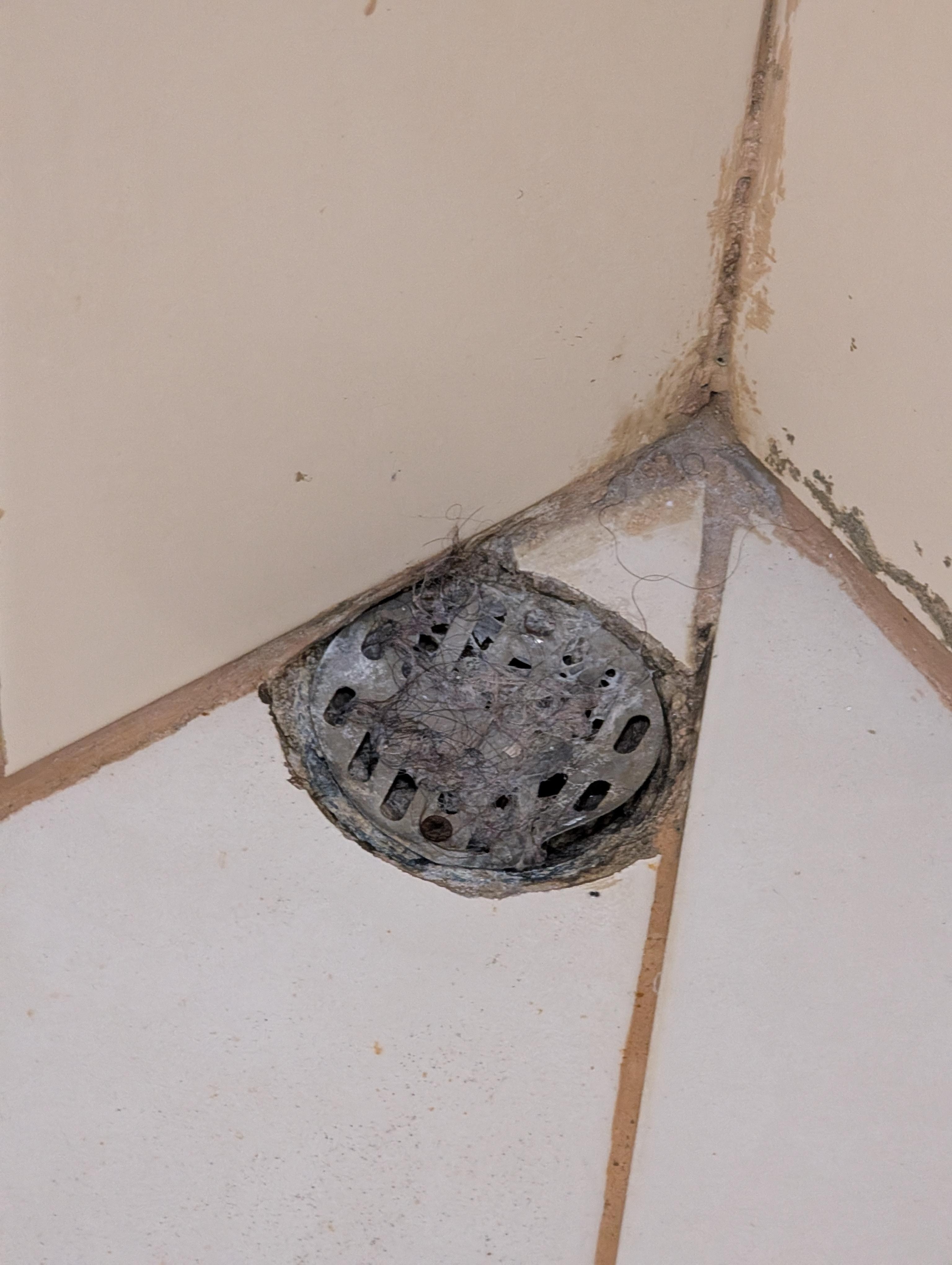 Shower drain