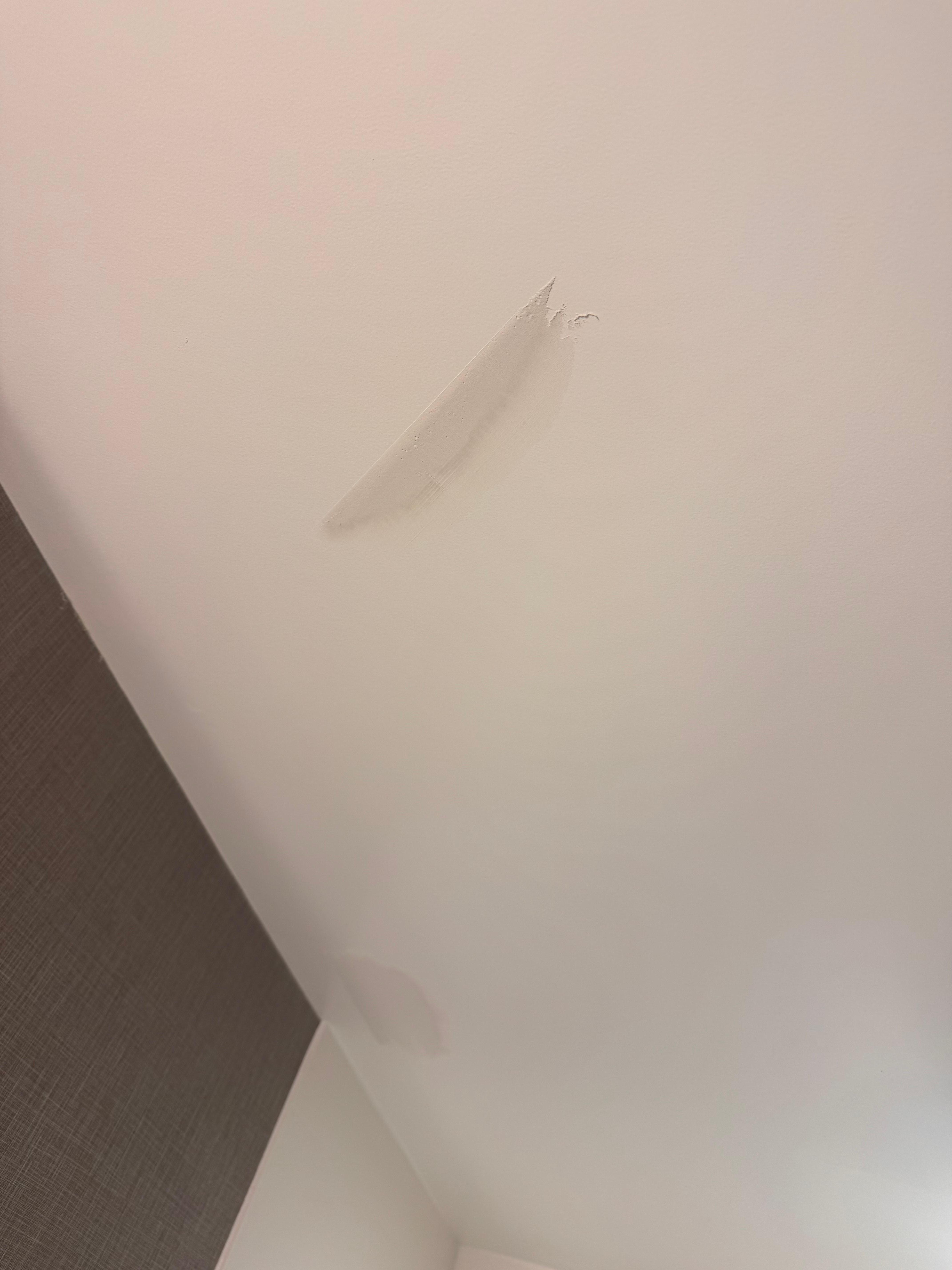 Bathroom ceiling 