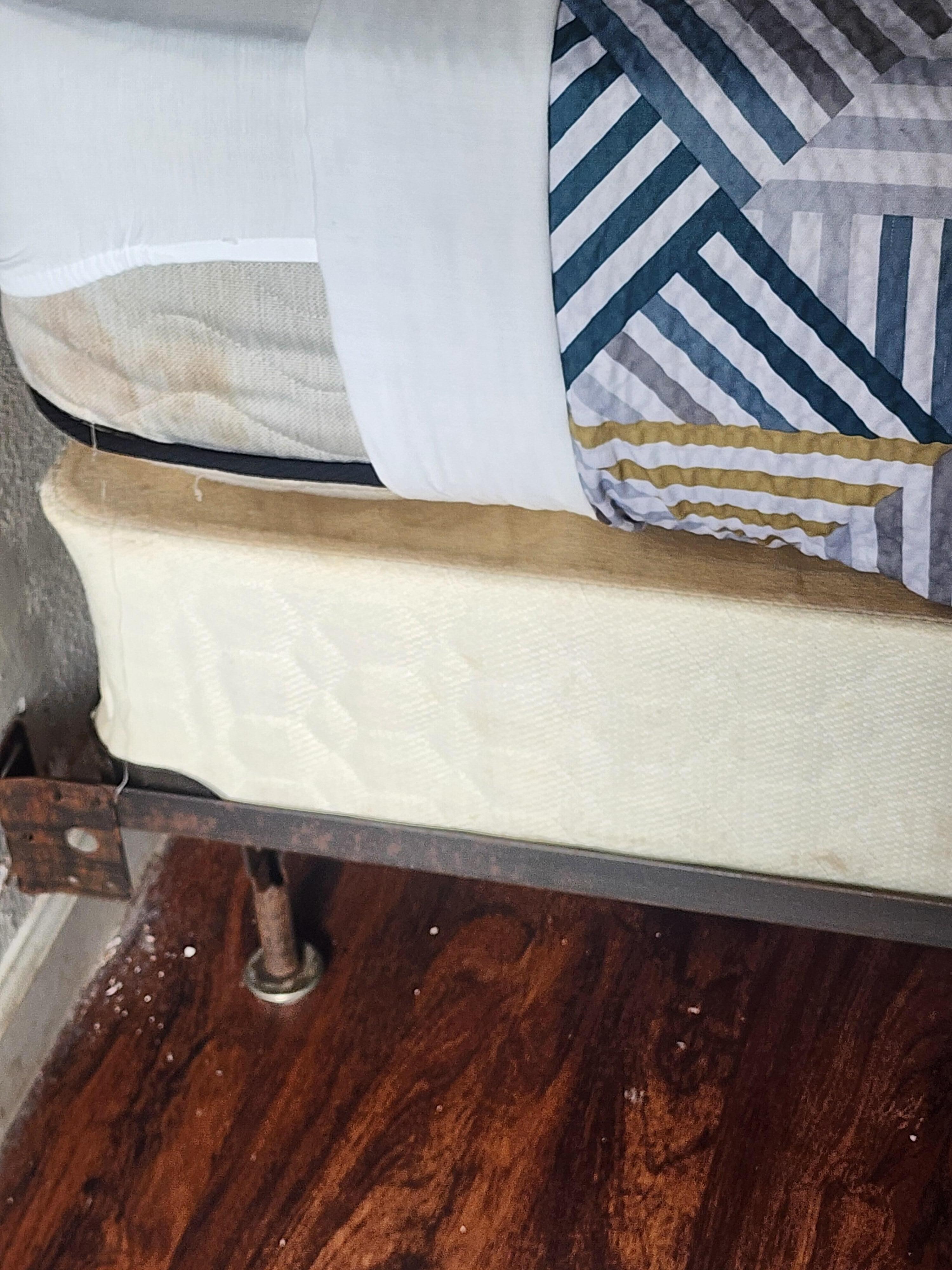 Stained brown mattresses 
