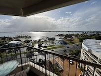 The view