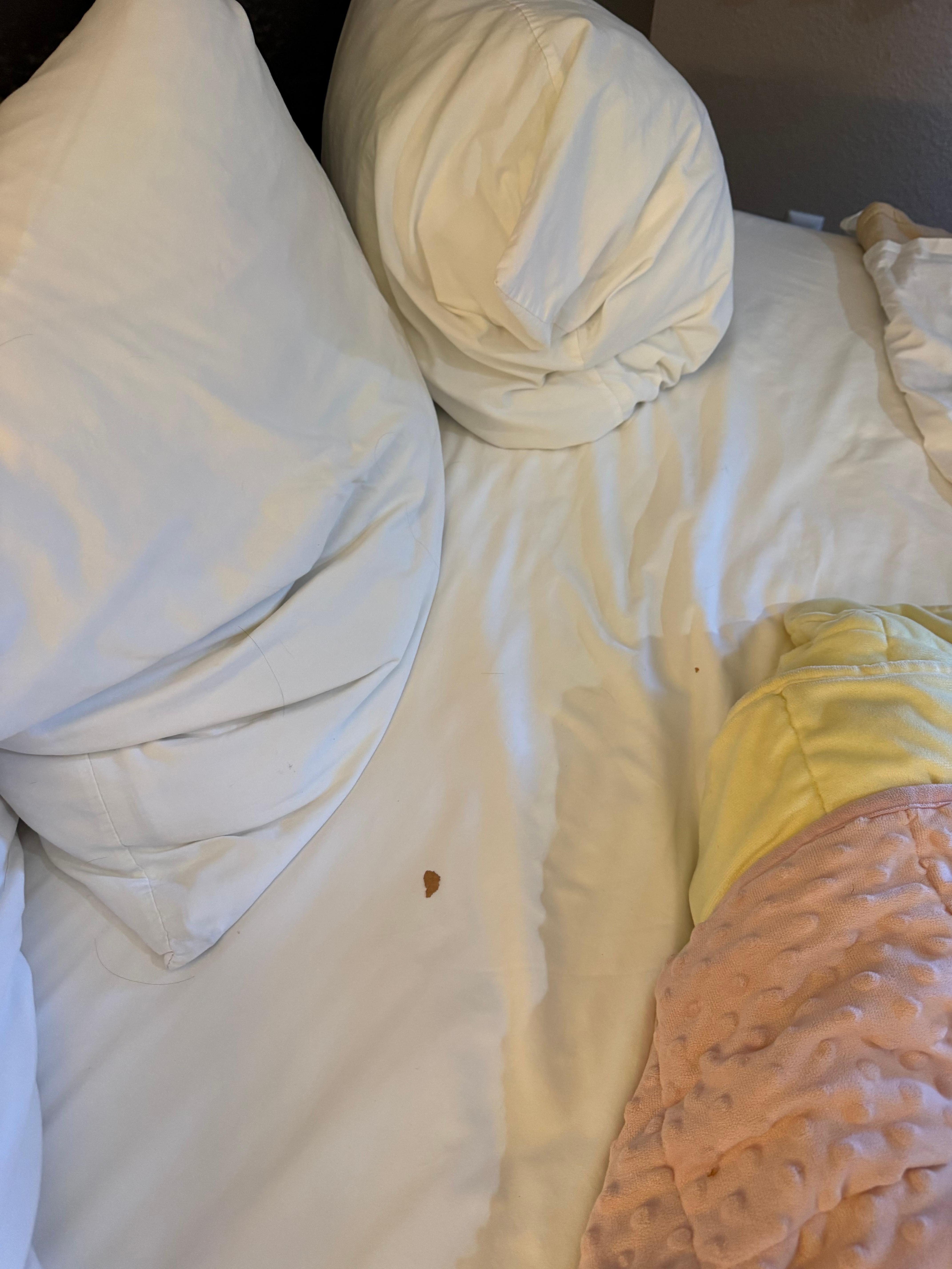 Bedsheet bloodstained 