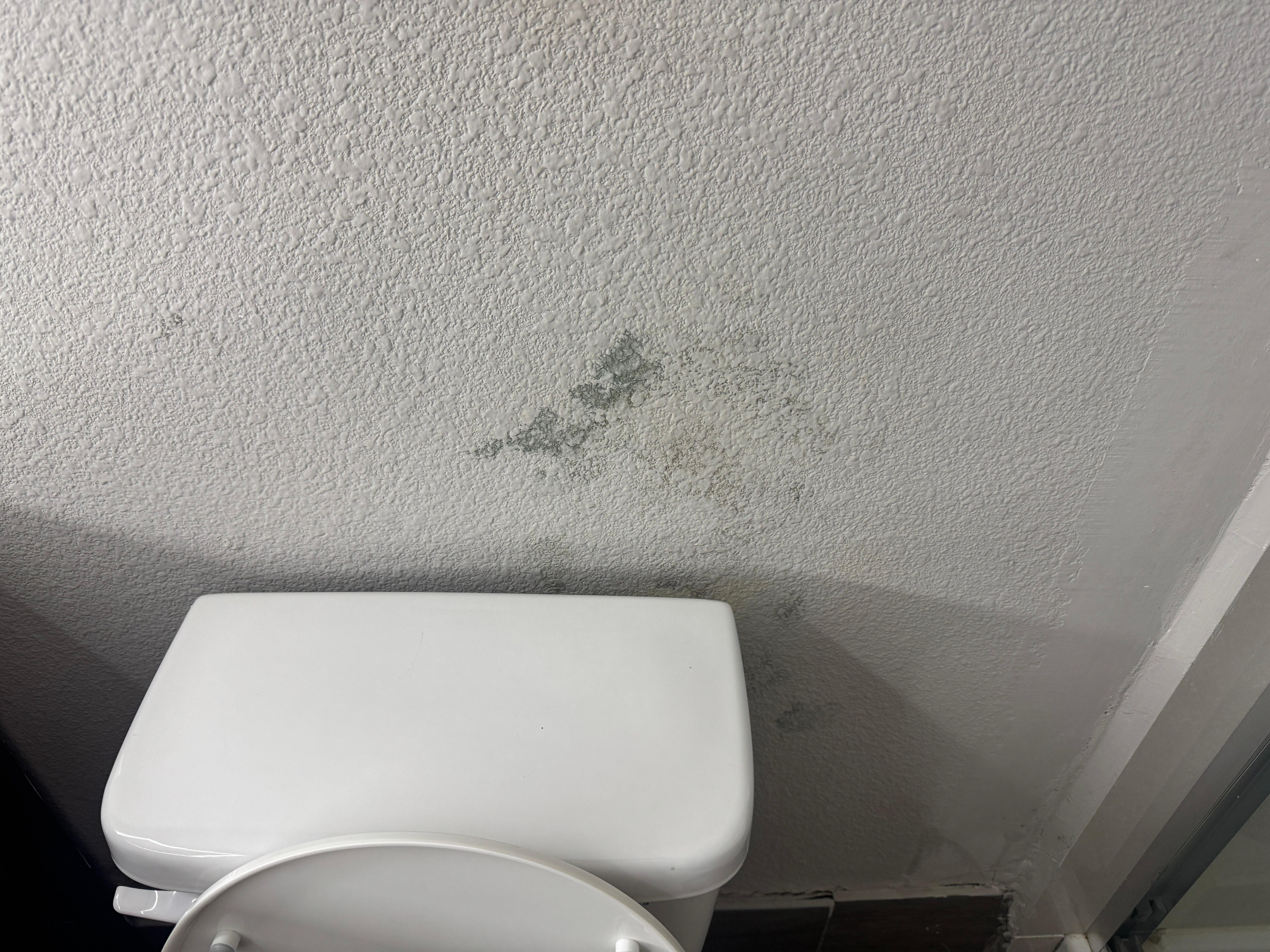 Mildew behind toilet