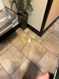 Trash in the lobby for two days.