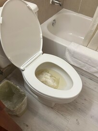 Unflushed/stopped up toilet