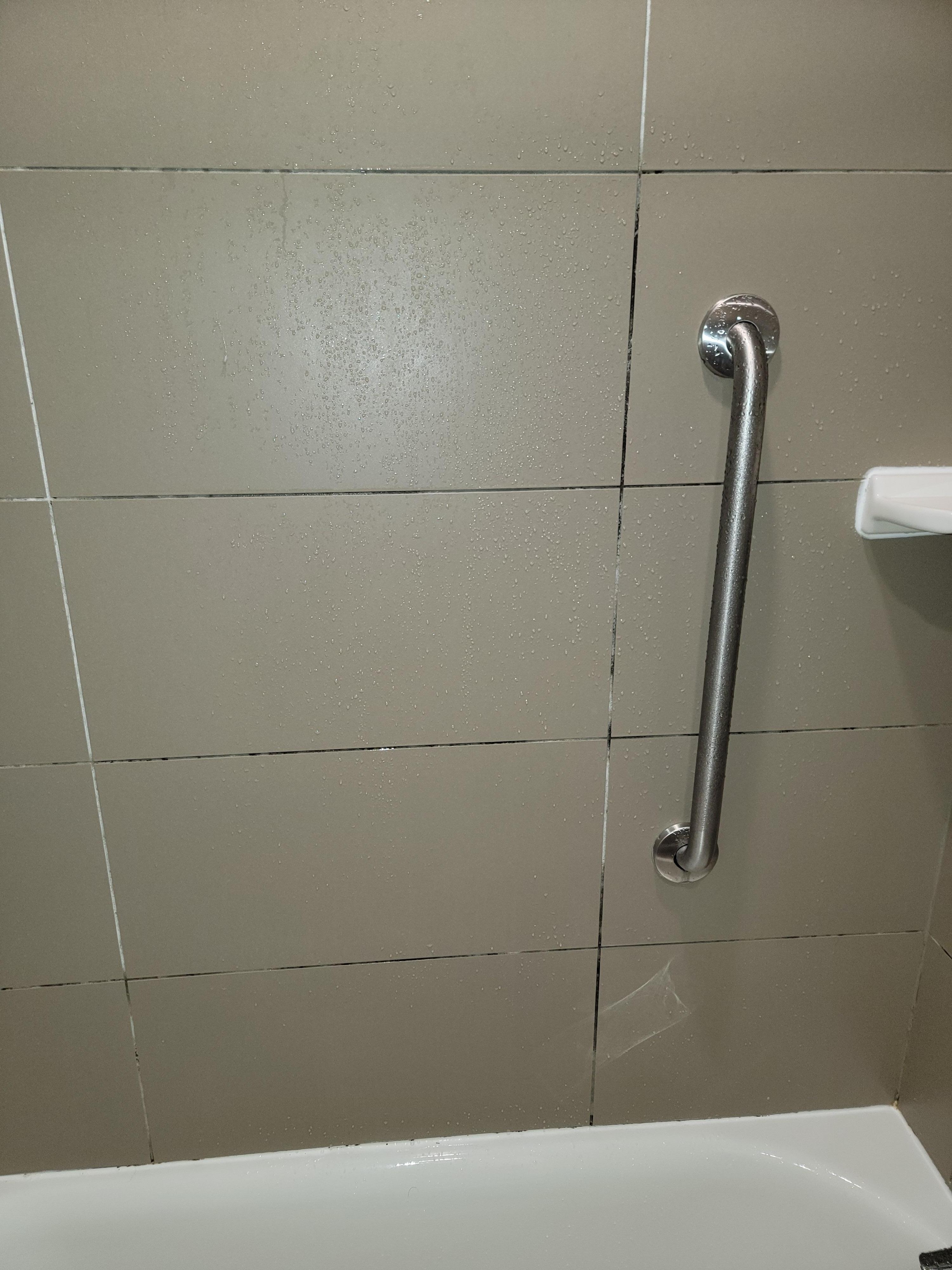 Extremly moldy grout on shower tiles