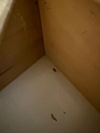 There were at least a dozen