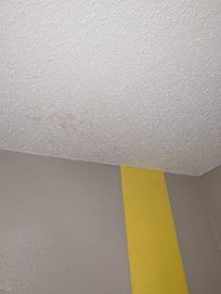 Stains on ceiling