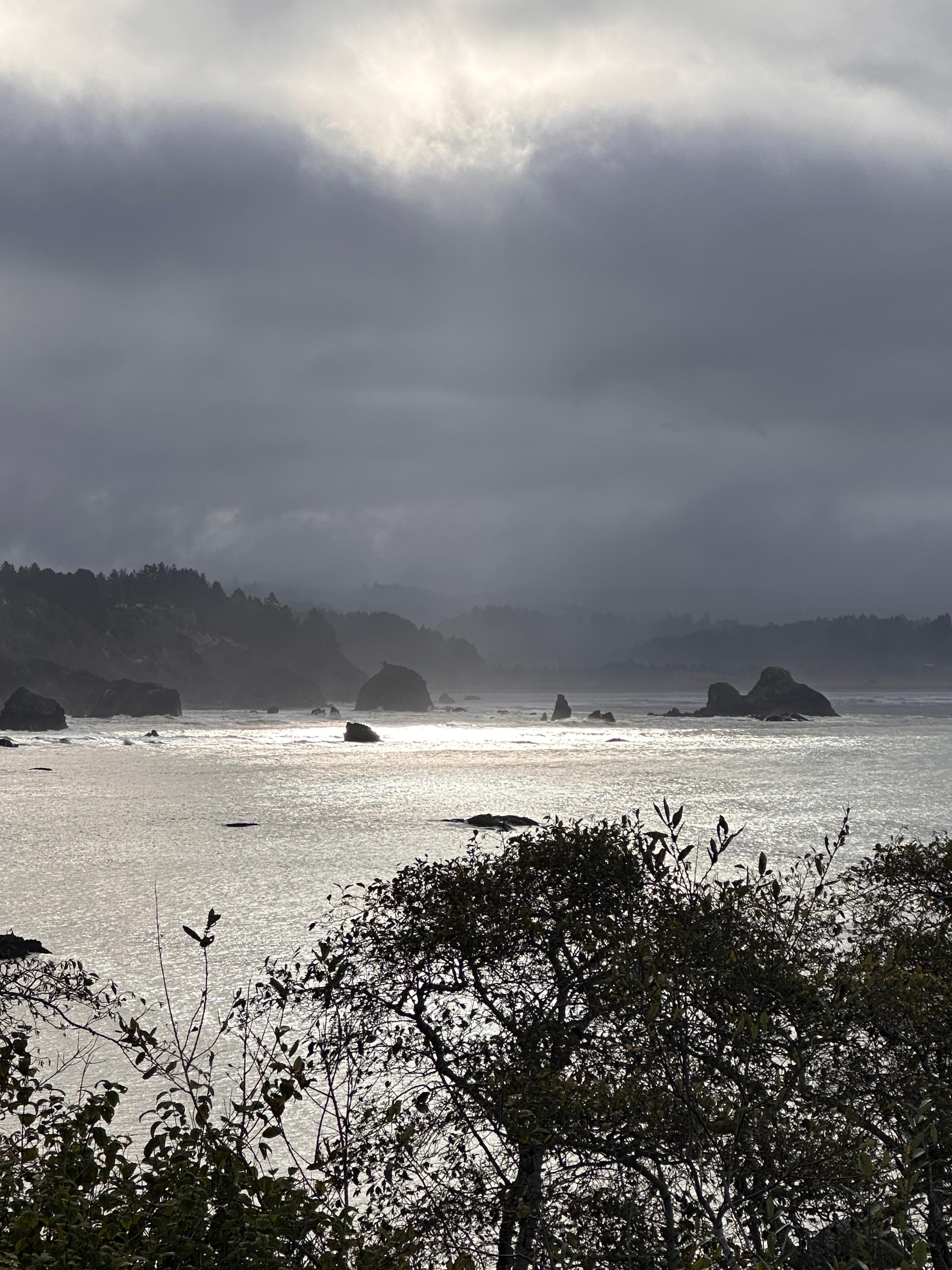 From the front yard after sunrise 
