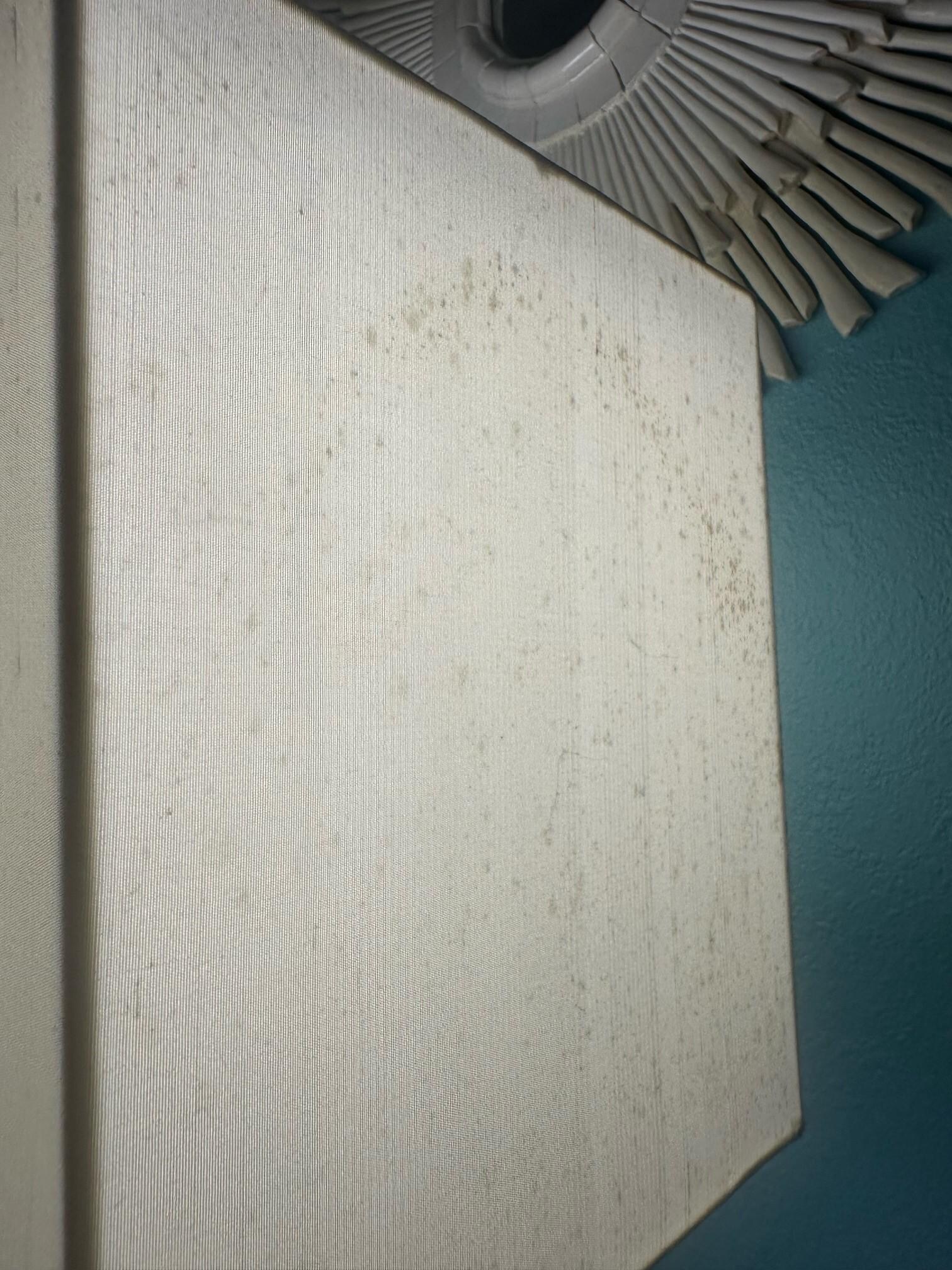 Mold