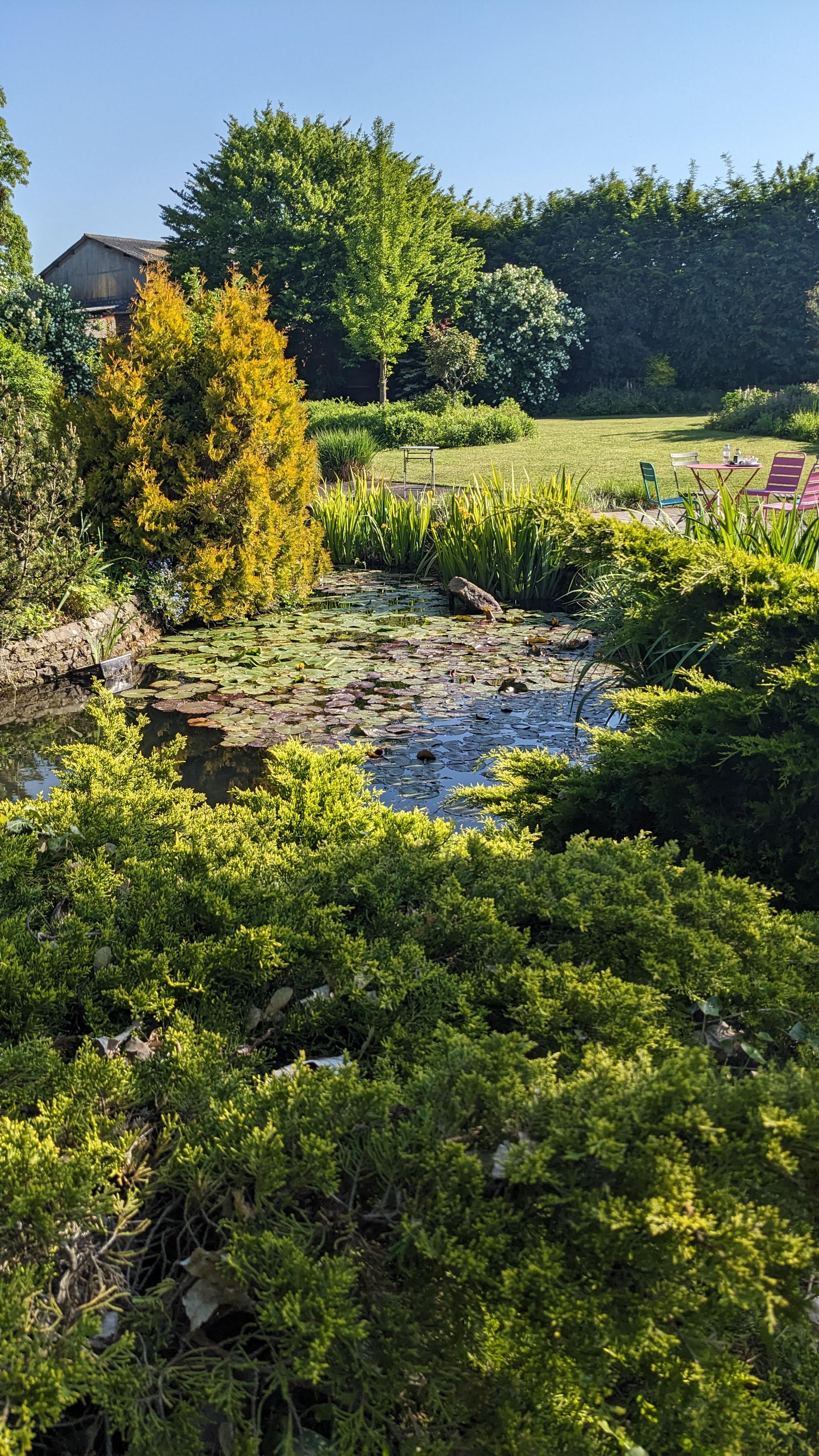 Le parc du gîte 