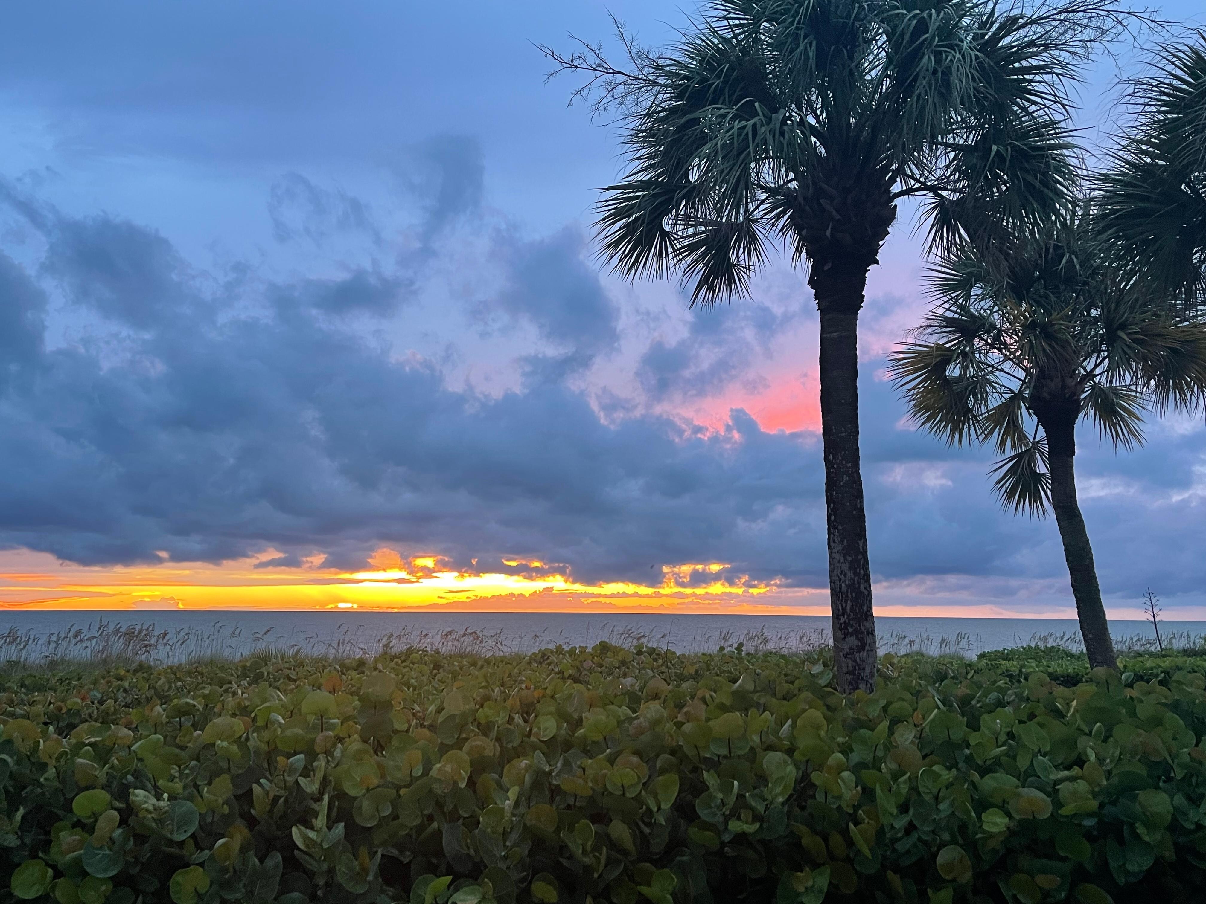 Book Casey Key Resorts - Beachfront in Casey Key | Hotels.com