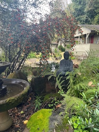 Chilling in the garden