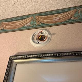 No Smoke Detector