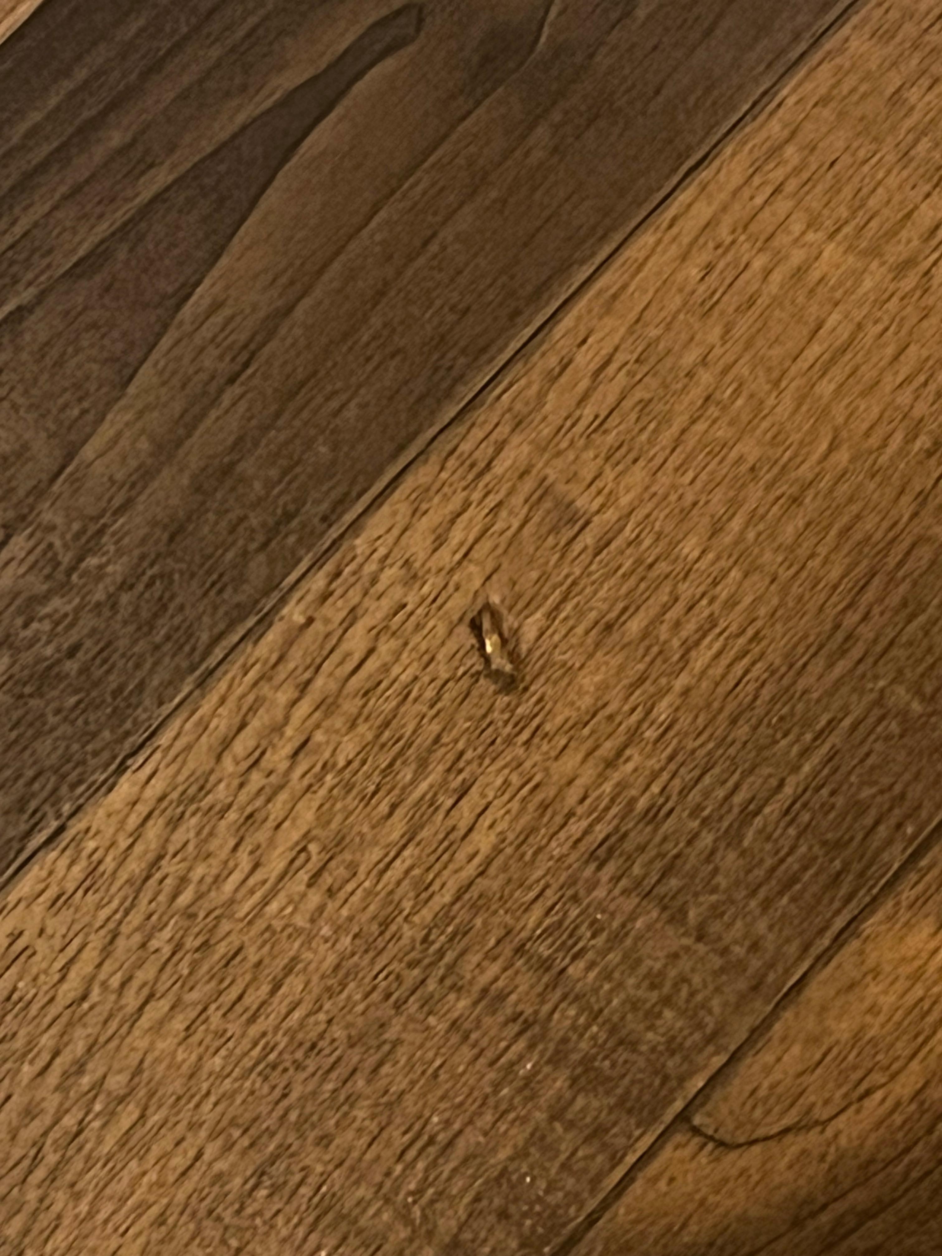 Roach in the bathroom 