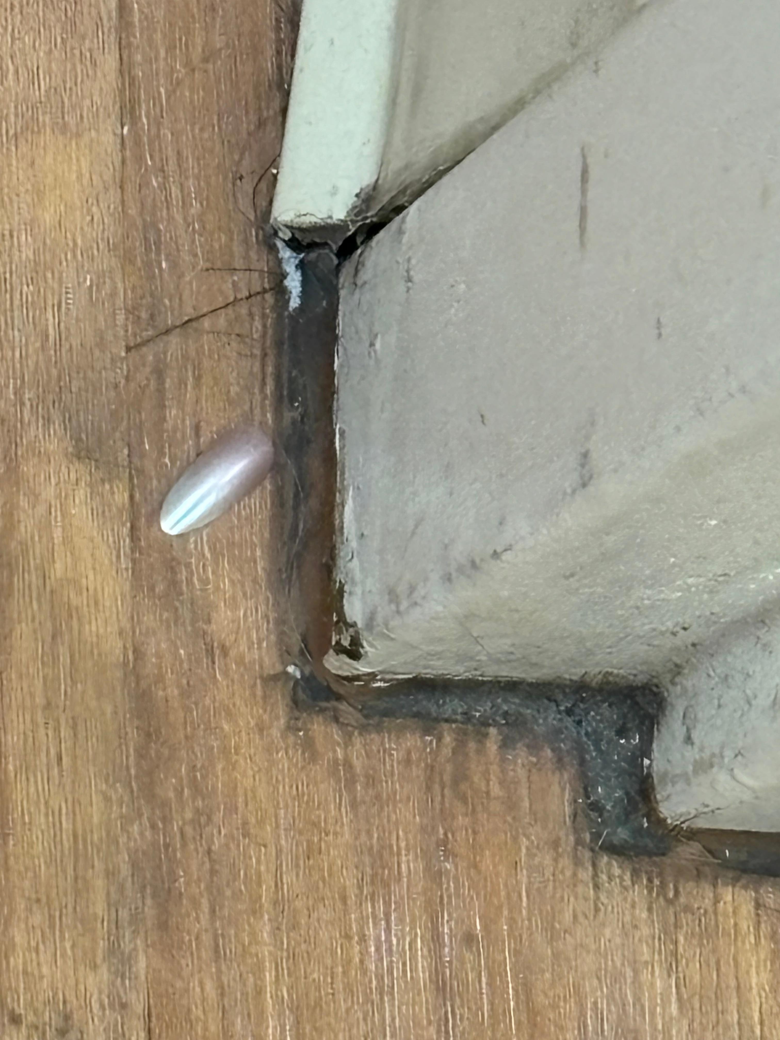 Someone’s nail on the unswept floor