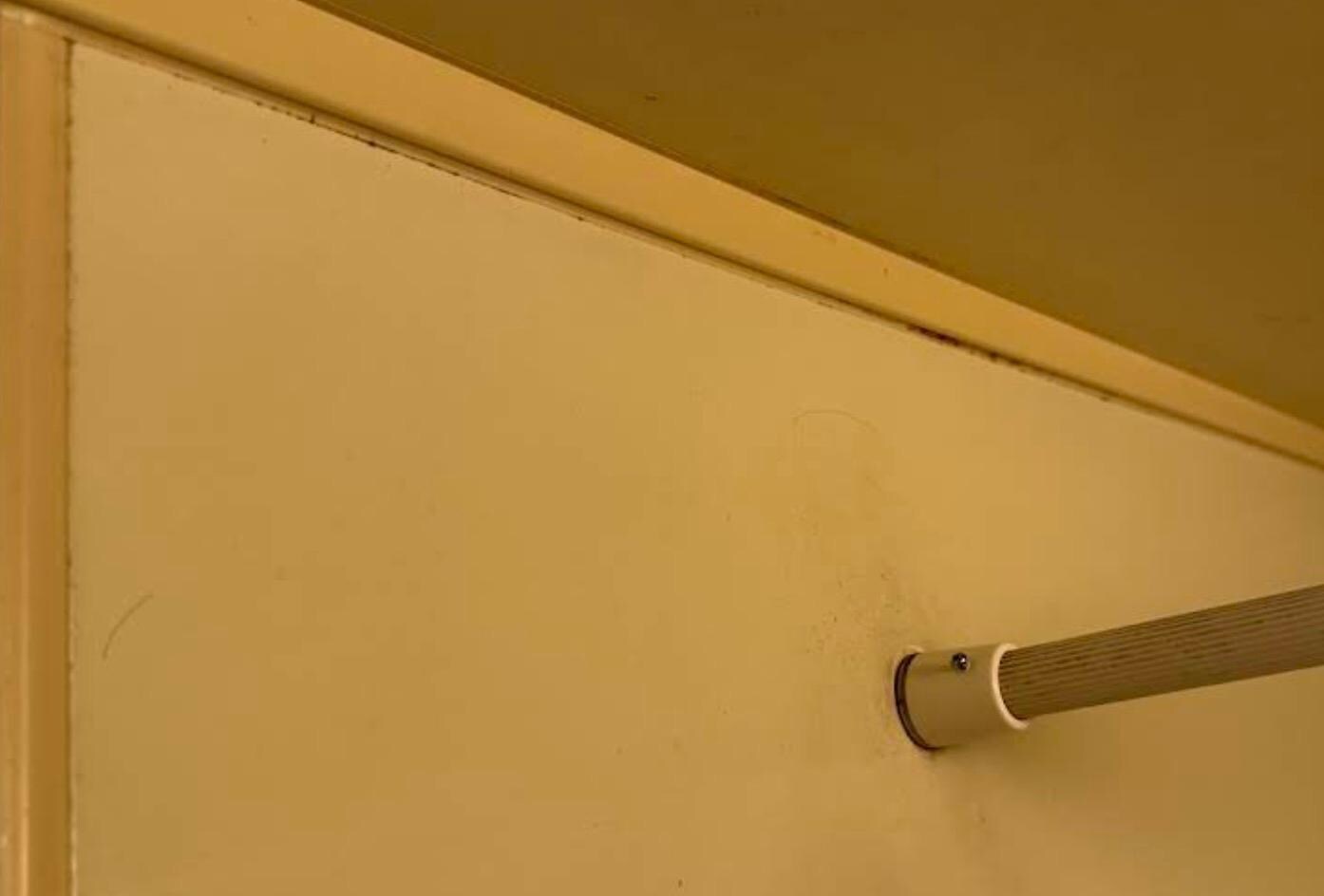 Mold and hair on the wall