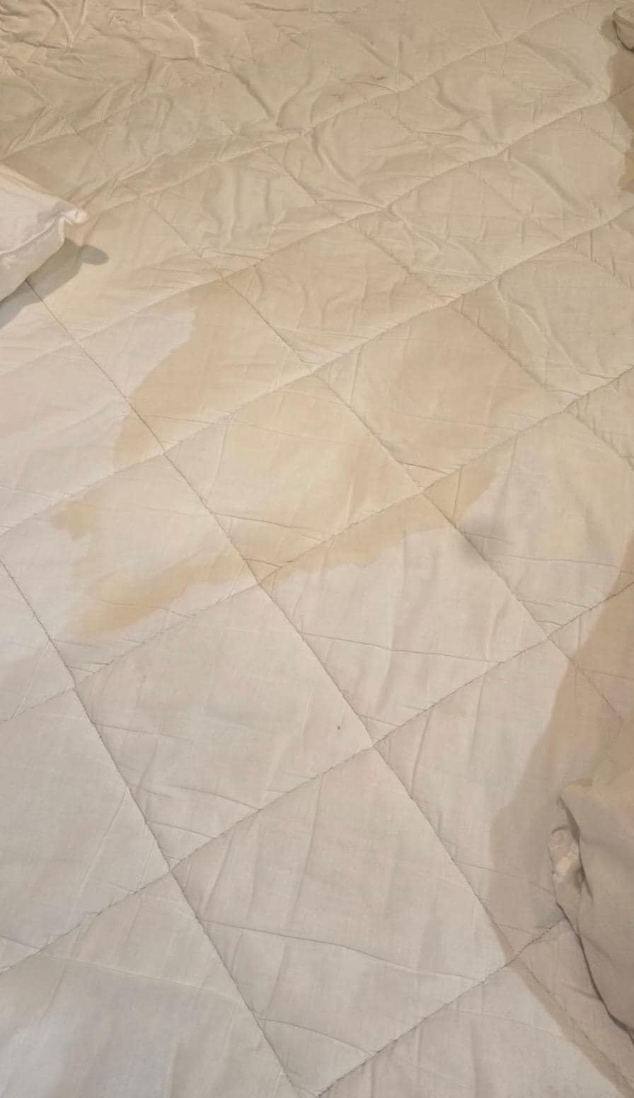 Urine and blood stains. I had to reduce the quantity of the pictures to stay within the allowed data. I have many more but don’t fit.