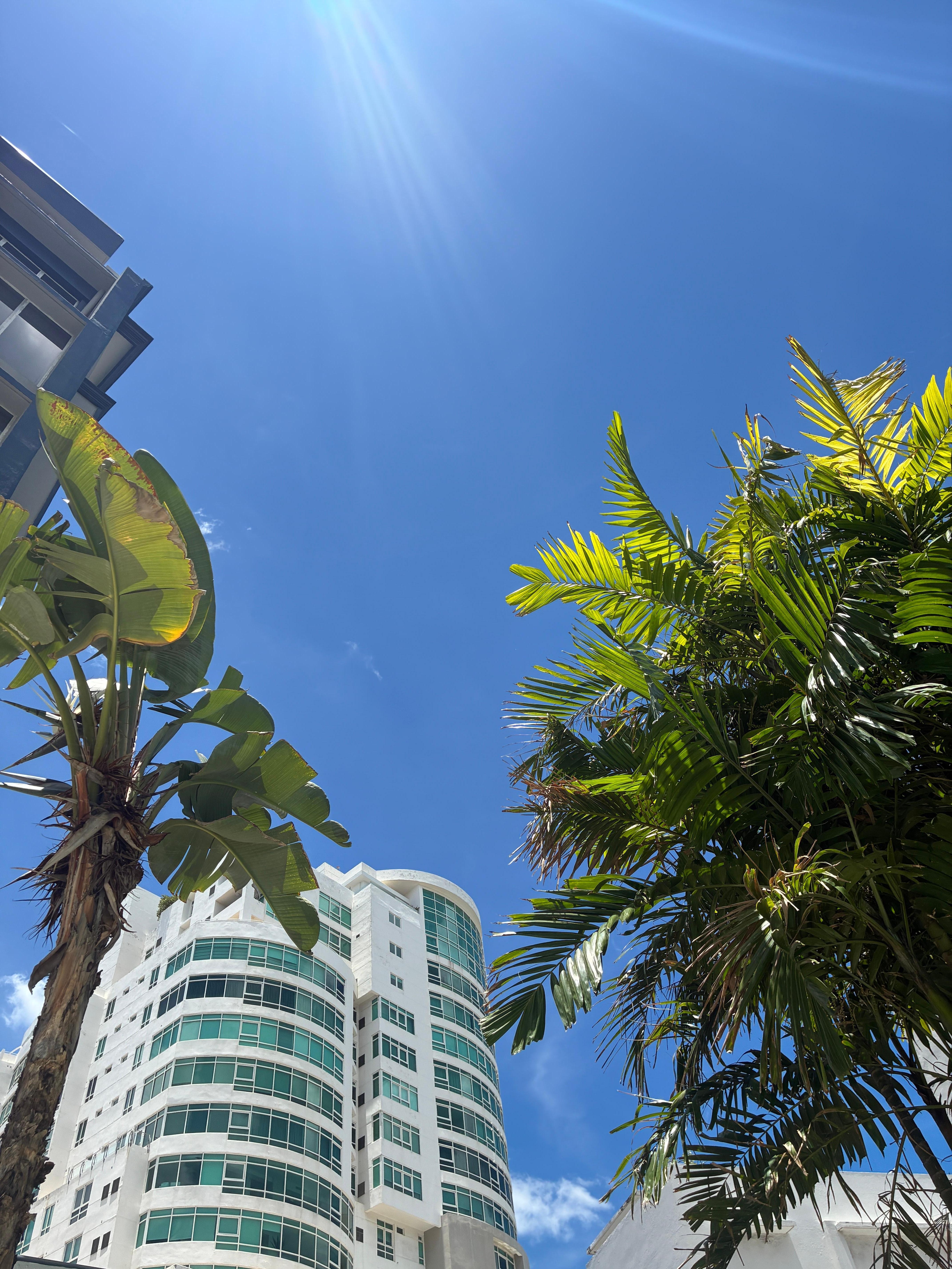 View at pool looking up 