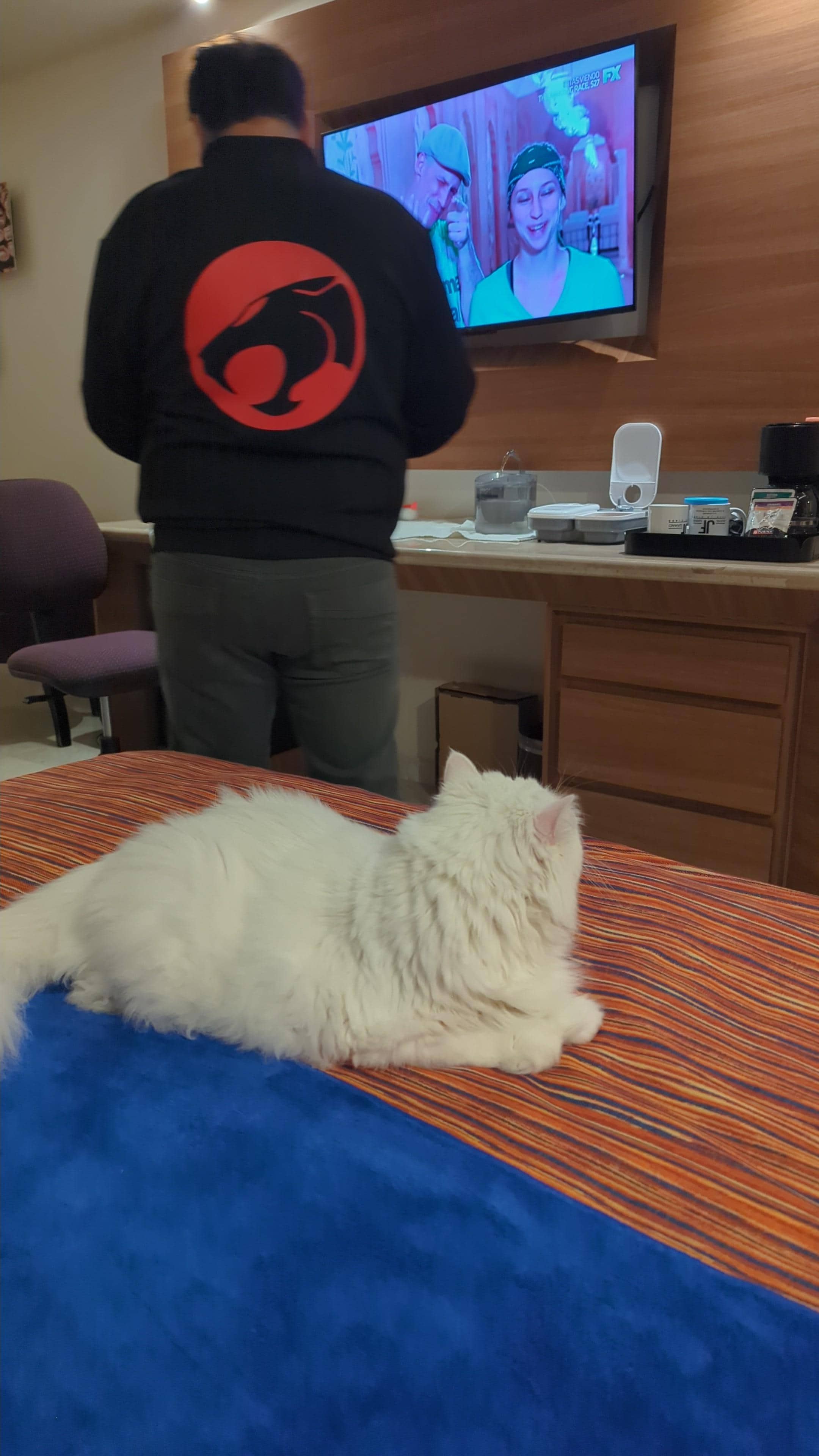 Everything was fine.
Only the room was cold and there aren't extra blankets 