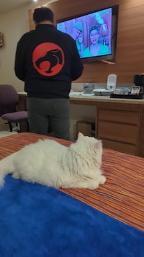 Everything was fine.
Only the room was cold and there aren't extra blankets