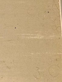 The photo says it all. The shower area was dirty, with hair all over the floor and a constantly wet, filthy mat. Basic hygiene standards were clearly not met.