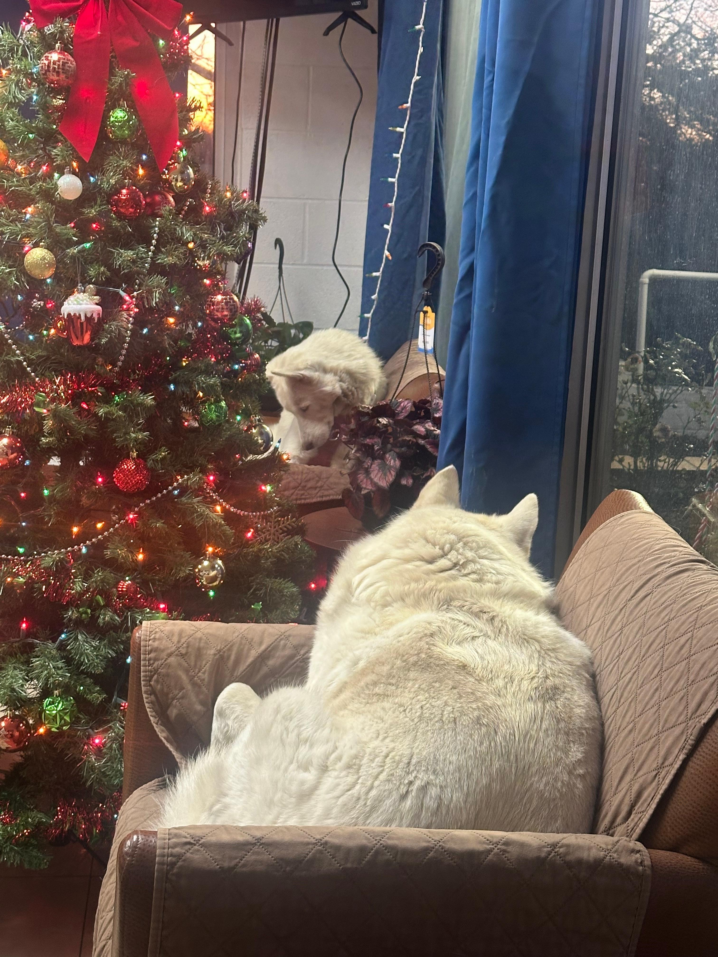 This was the front office 