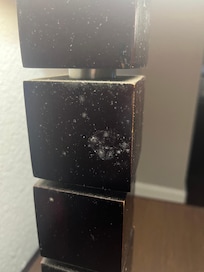 Mold on thelamp
