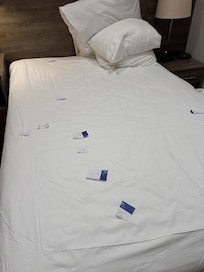 Dirty sheets. Human hair everywhere.