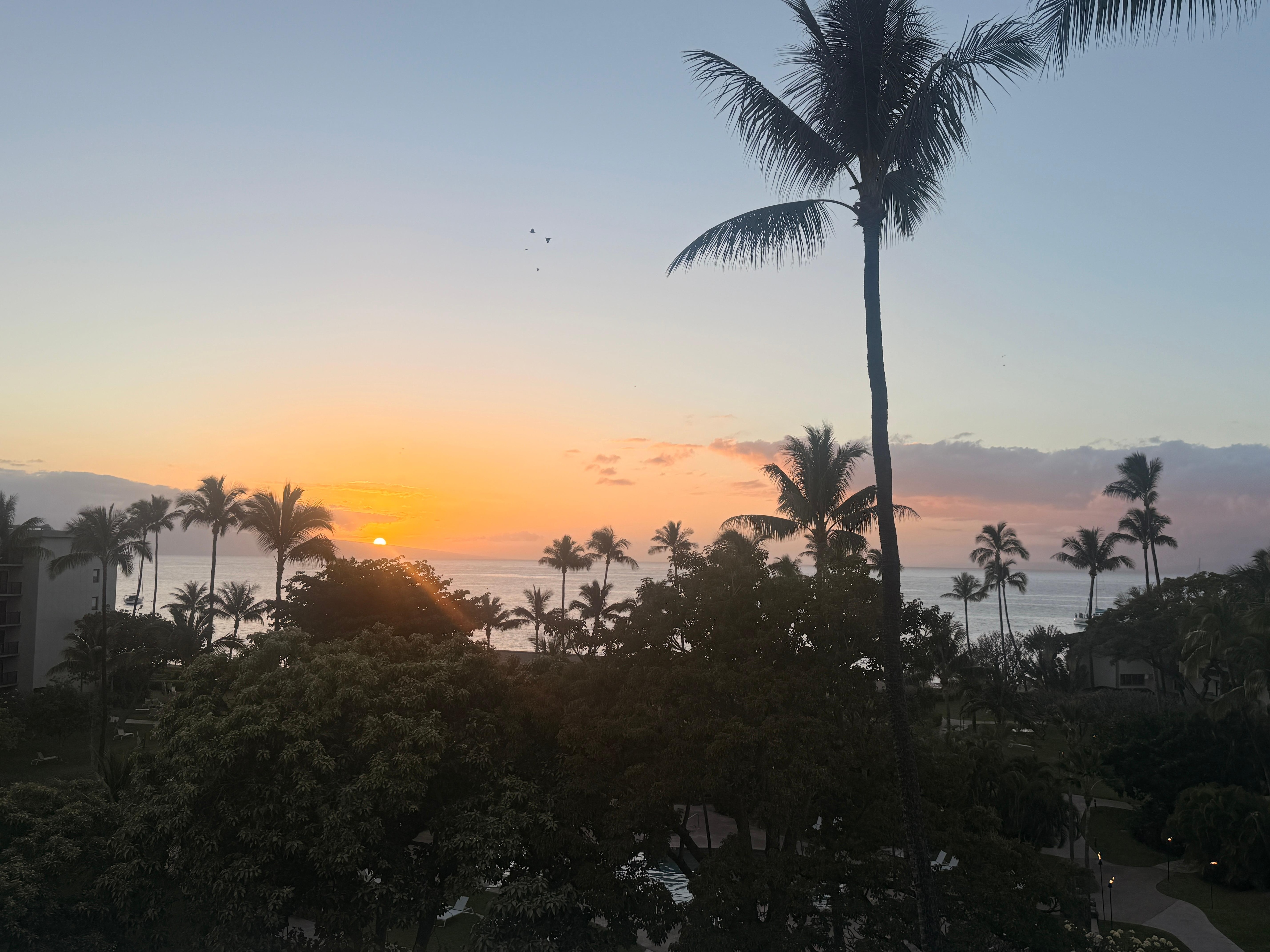 Watch the sunset and whales every day 