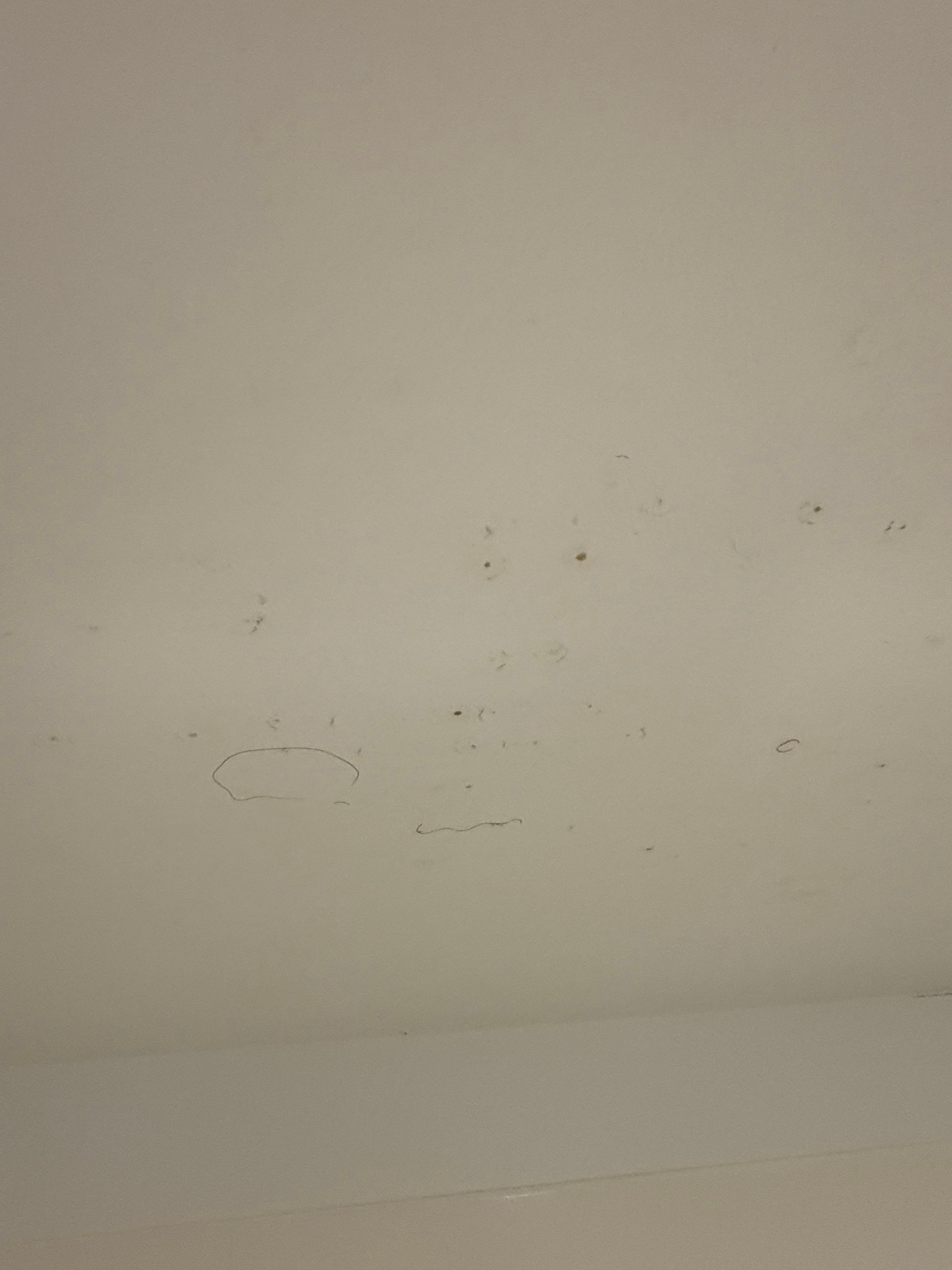 notice the hairs stuck on bathroom ceiling