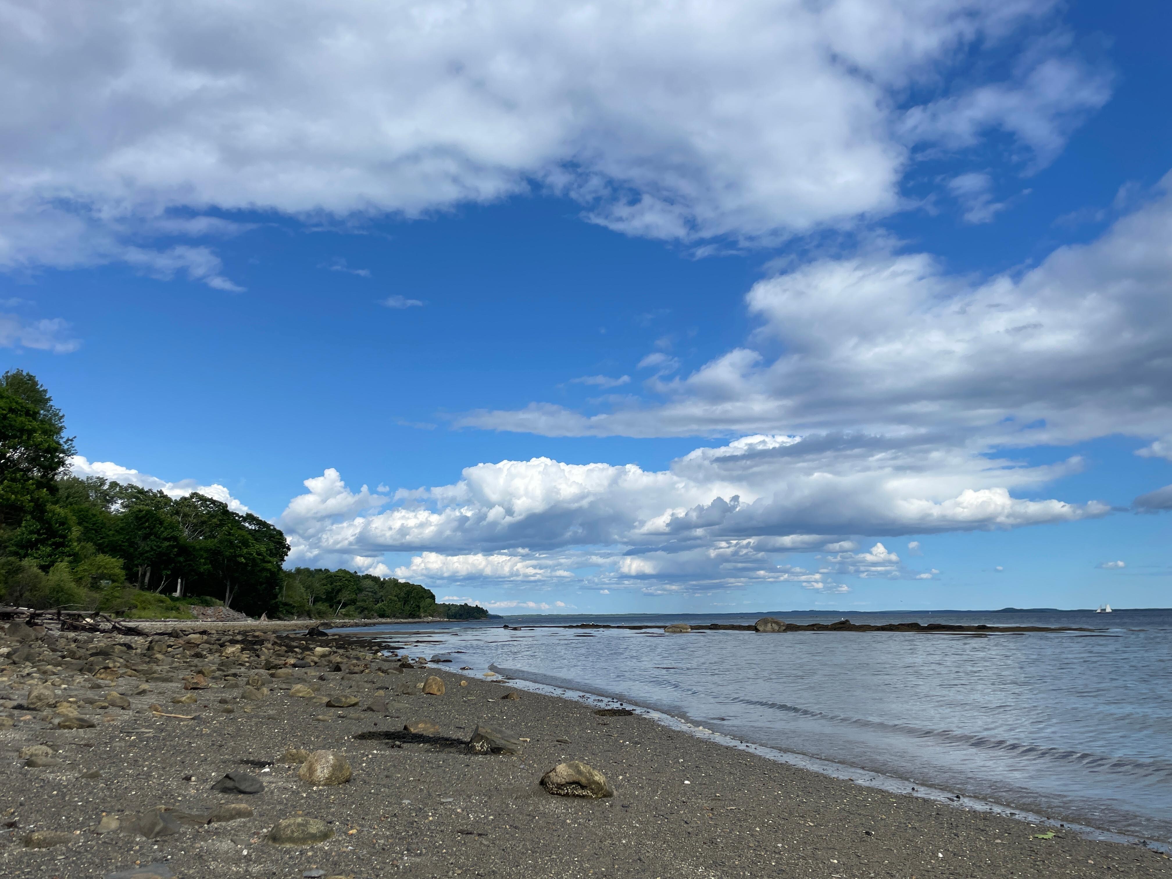 The beach area 