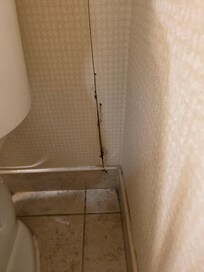 Mold in the restroom