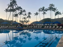 Reflection of palm trees was very relaxing