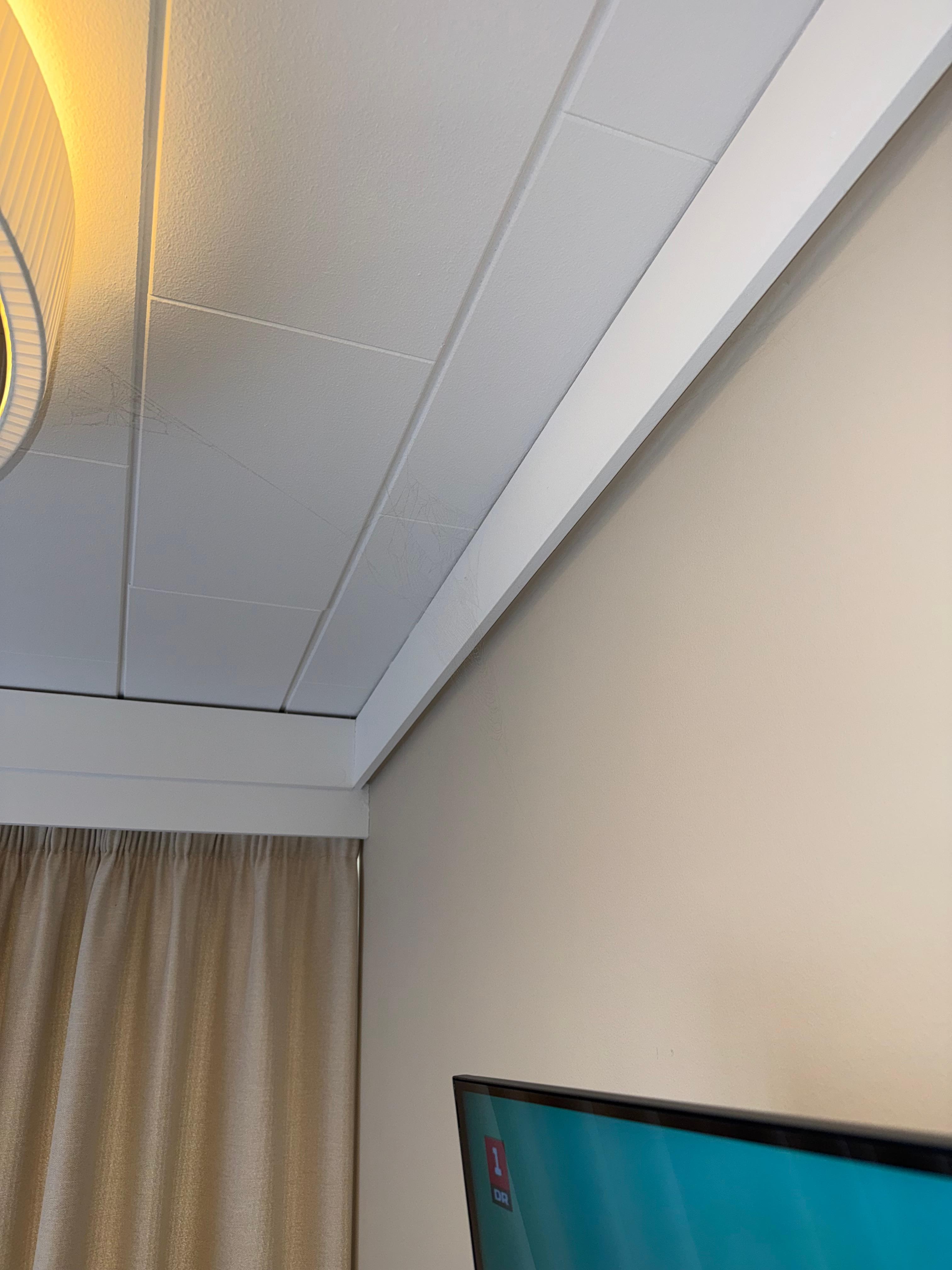 Ragnatele gigante sui muri