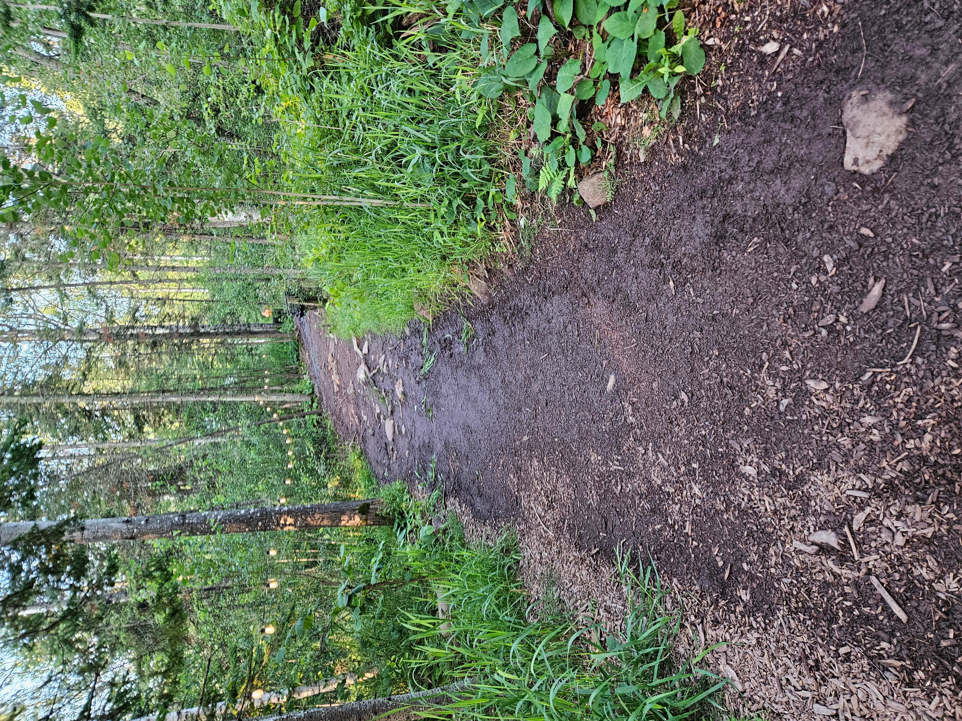 They told us main paths were lighted at night, but they didn't all work.