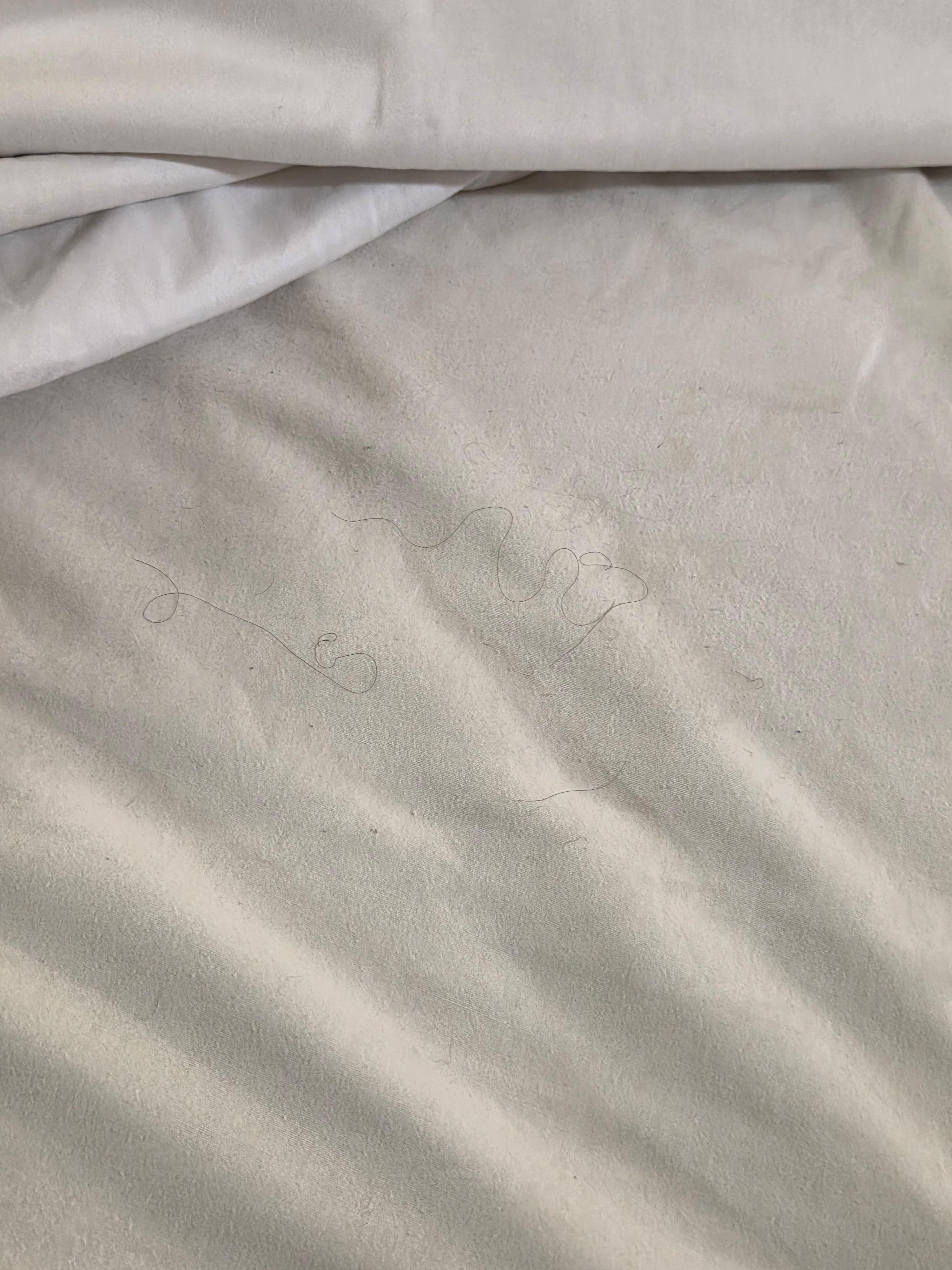 Nasty fluid stains and hairs on dirty sheets