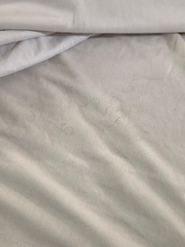 Nasty fluid stains and hairs on dirty sheets