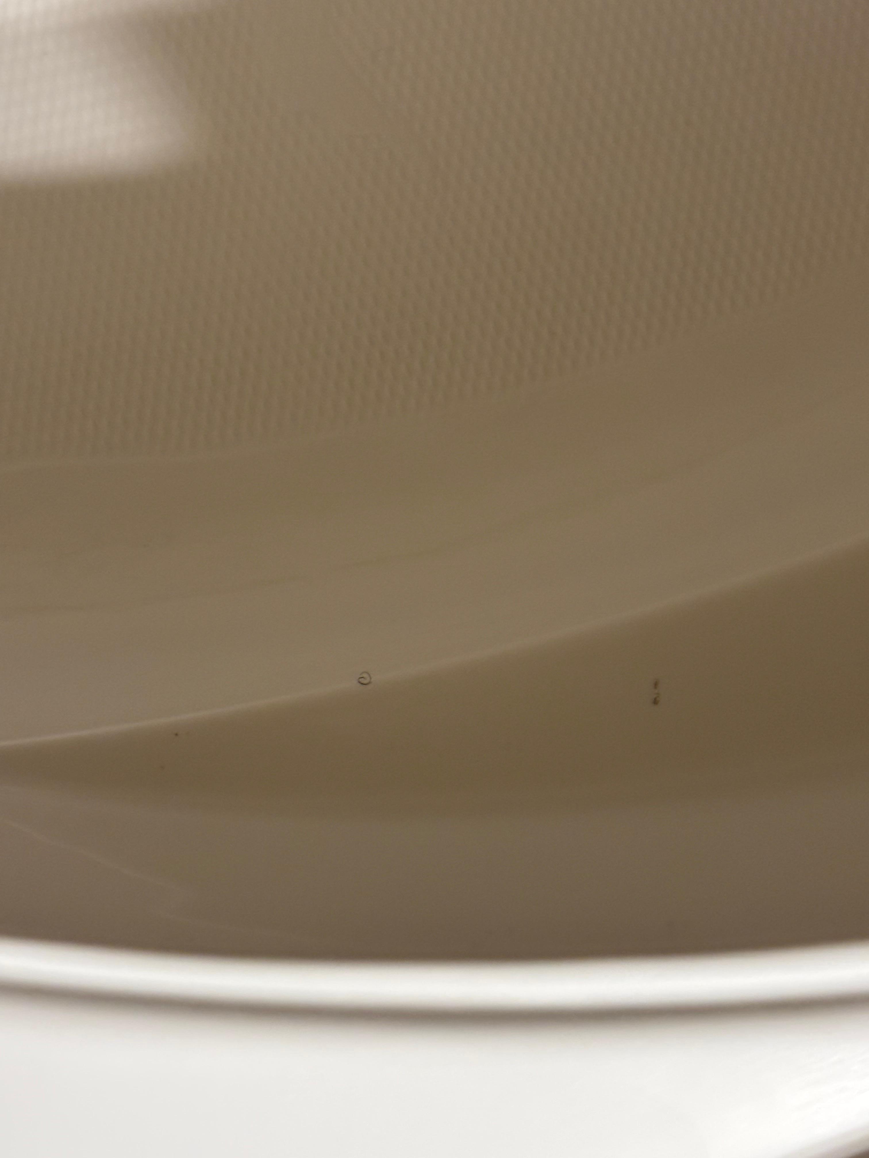 Black pubic curls throughout the tub 