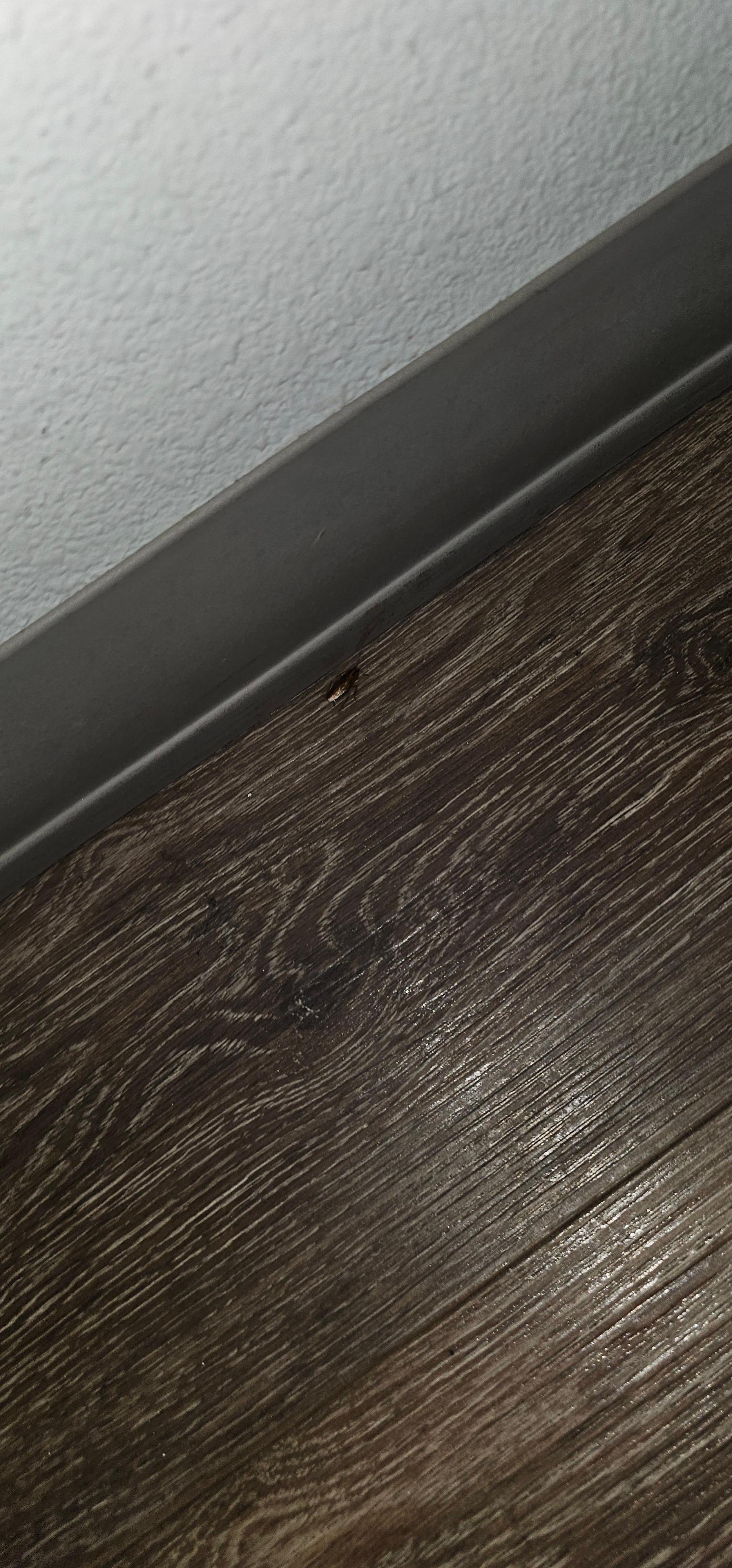 We didn't feel comfortable seeing roaches during our stay.