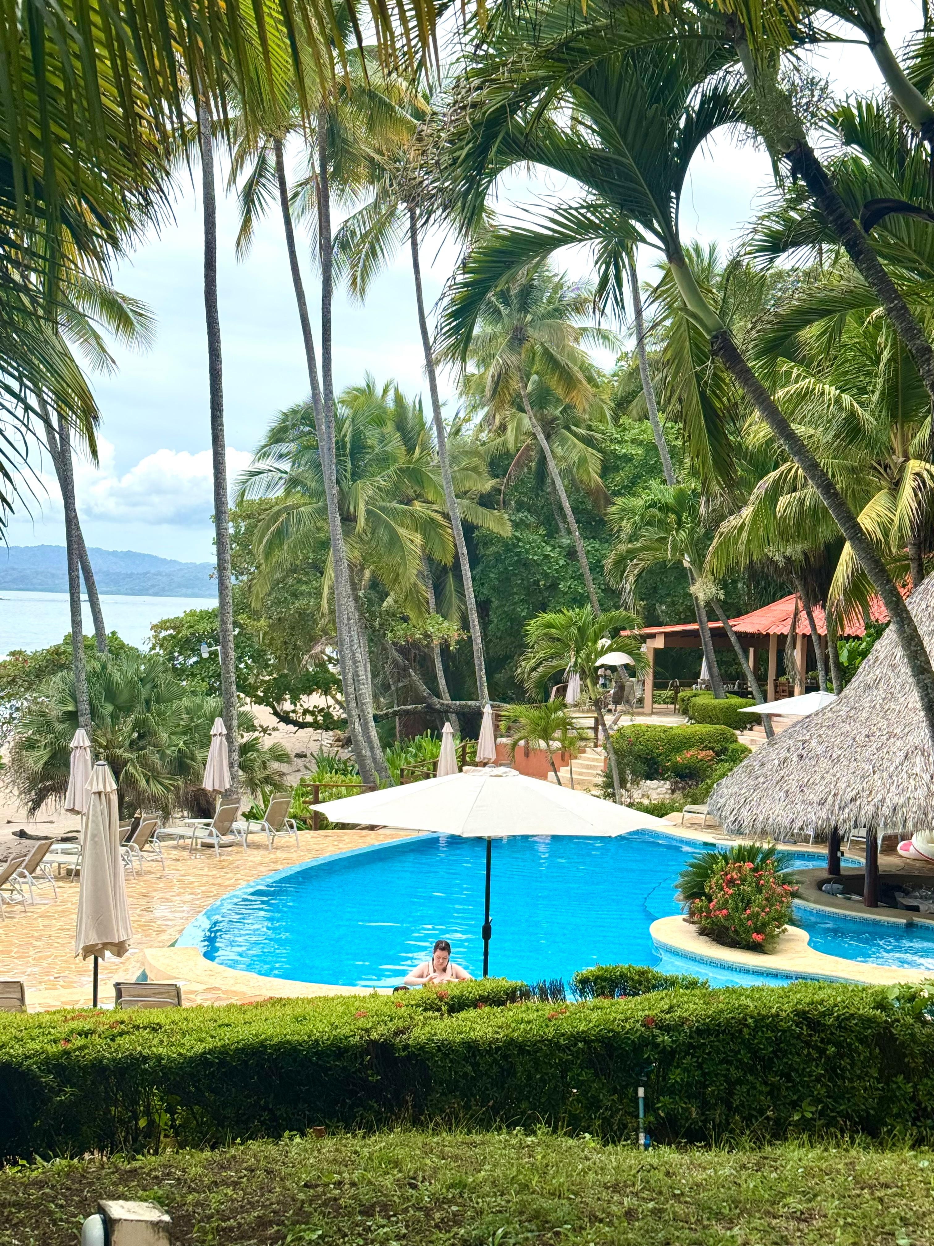 Pool Area Perfection 