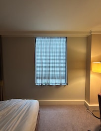 View from room 555 (no natural light)