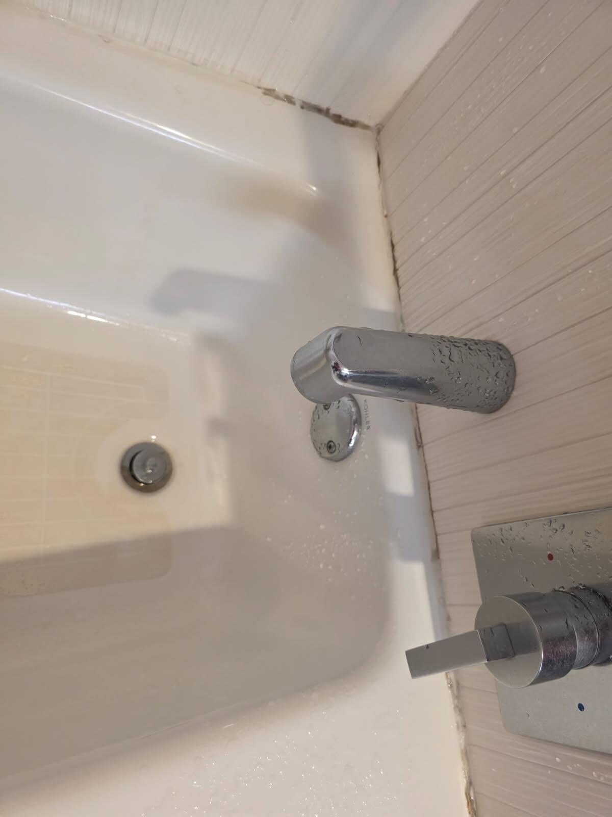 Grime or mold (not sure) in the corner of tub 