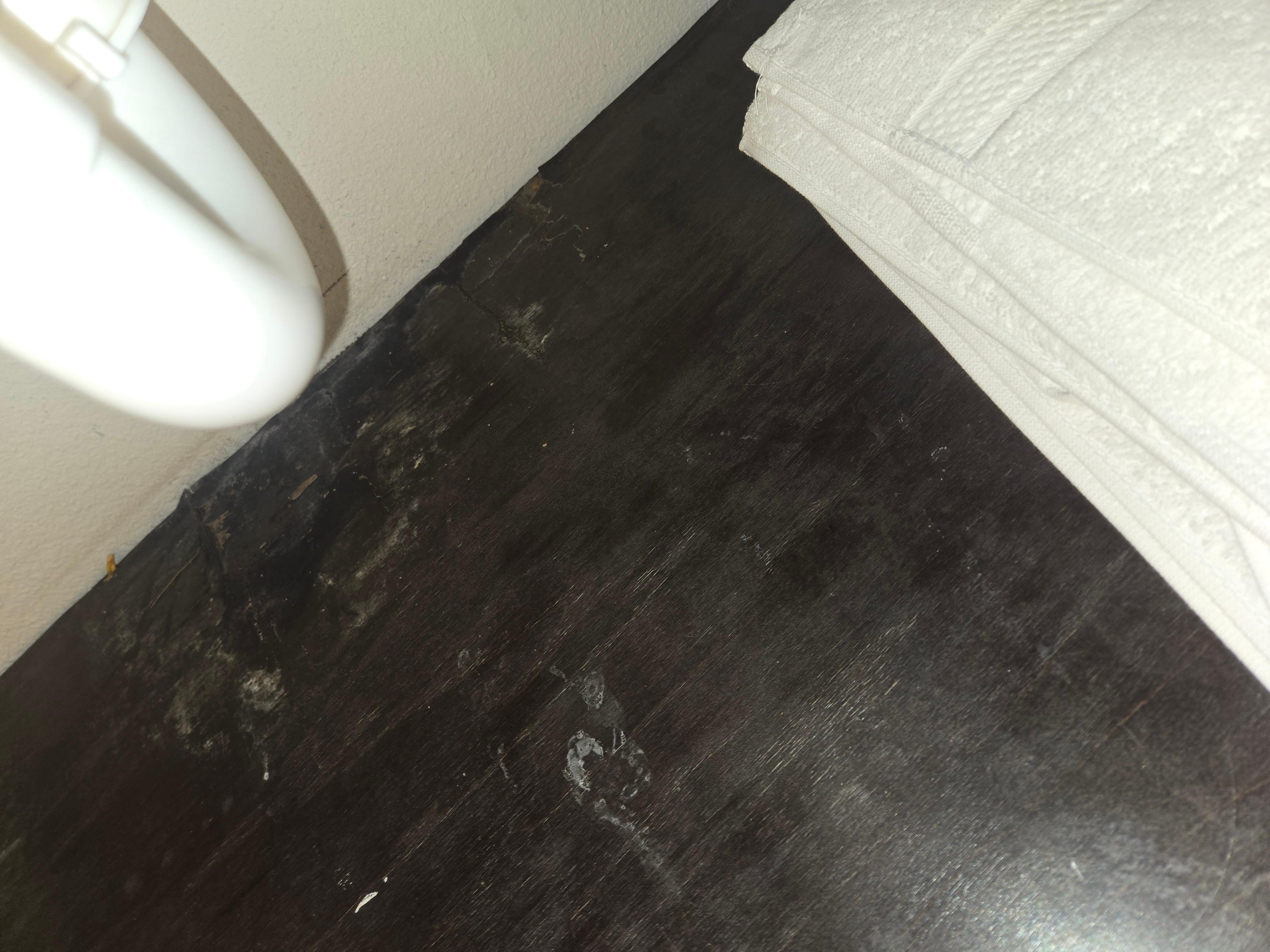 Some type of mold which my towel and wash cloth were placed by