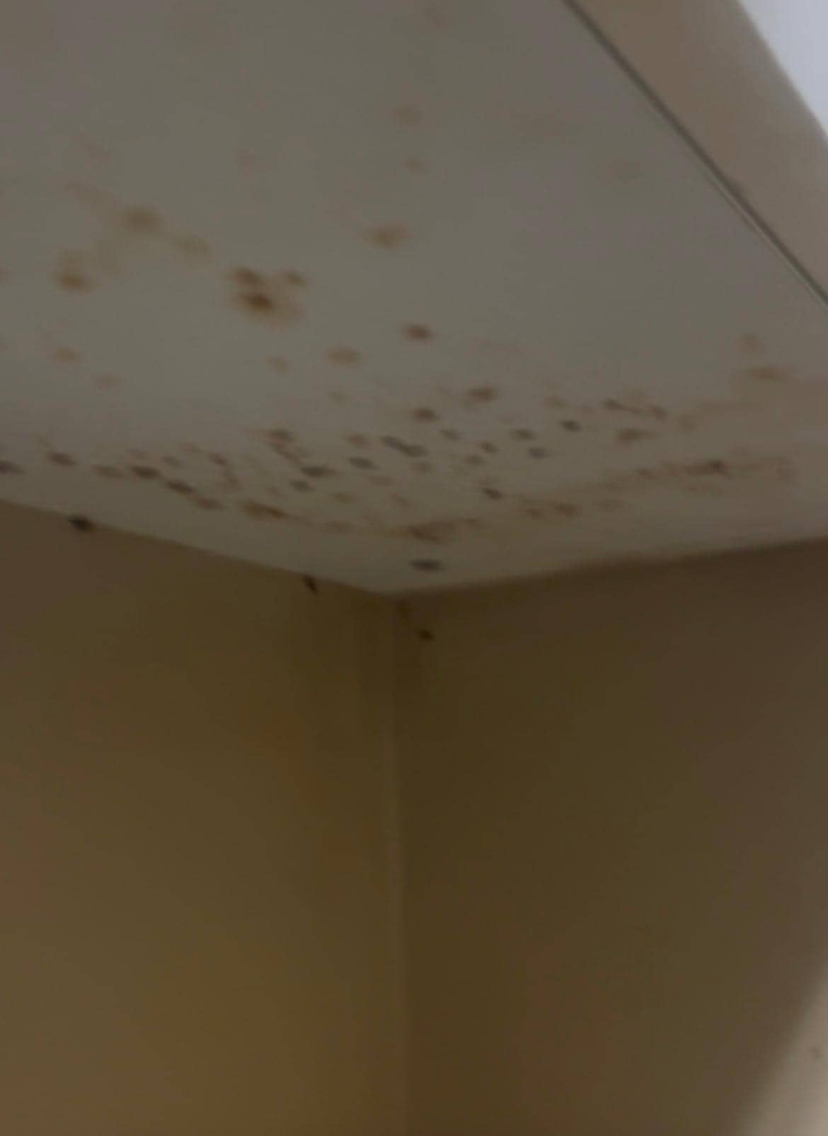 Under kitchen cabinets !!!