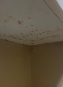 Under kitchen cabinets !!!