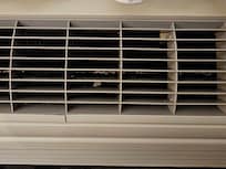 Debris in Air Conditioner