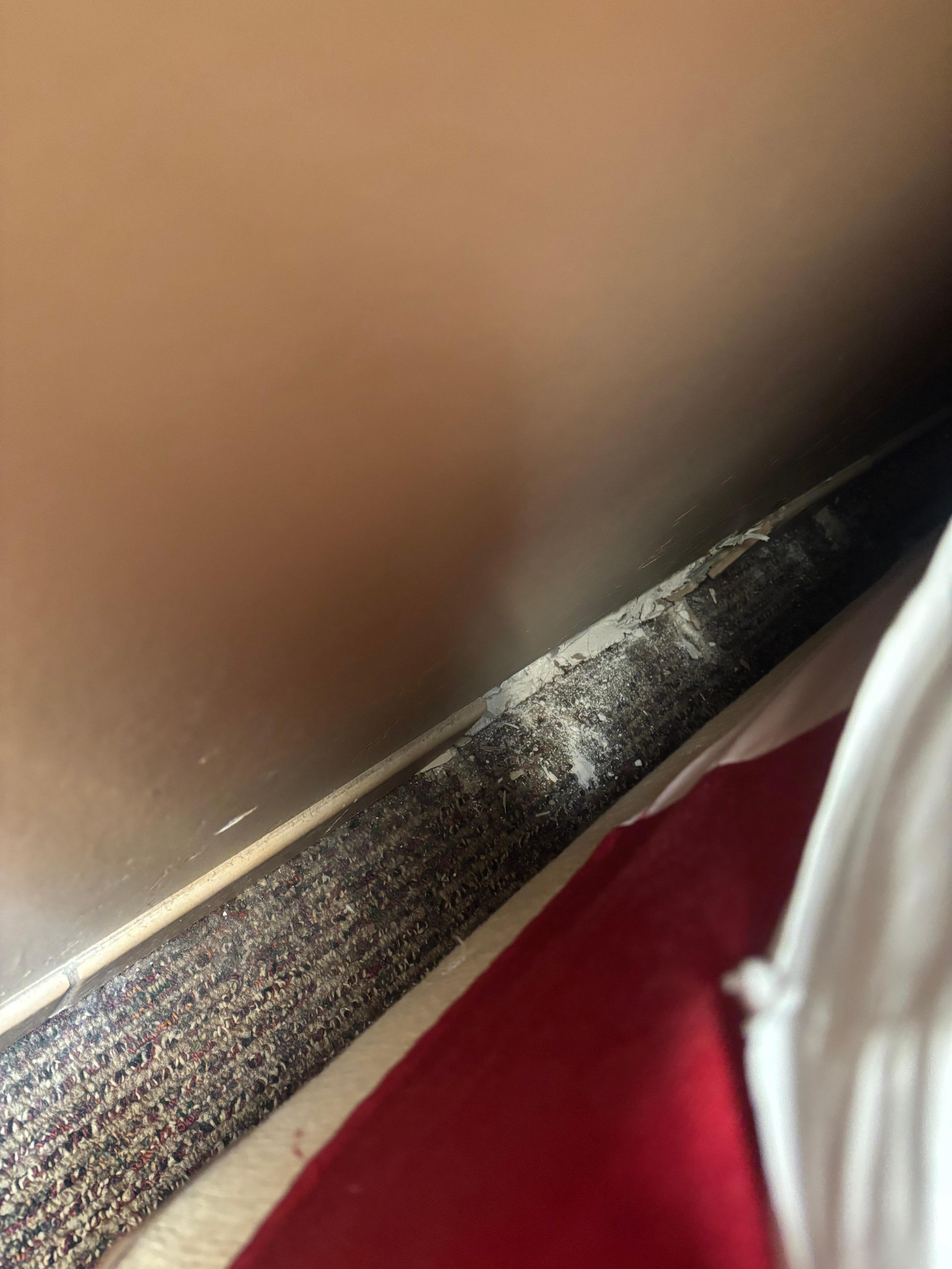 Behind the bed, I thought how gross when you sleep who knows what comes through