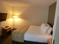 キング、ワンベッド