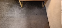 Very Dirty Burnt Carpet in All appartment