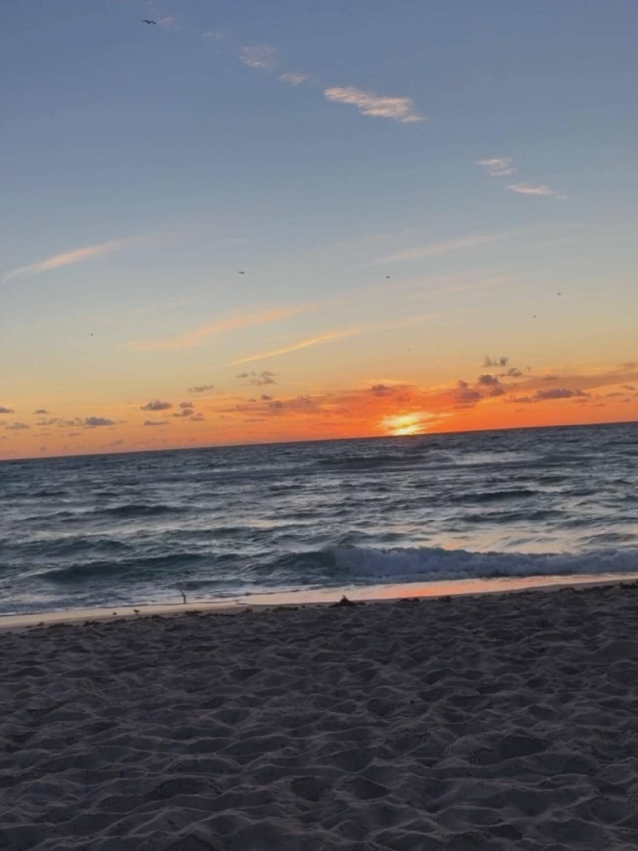 all we had to do to get to south beach was walk across the street and BOOM! perfect place to watch sunrise. thank you, william, for the chairs and towels!